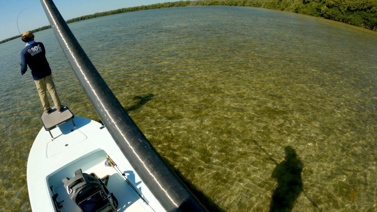 Chasing Fish in Crystal Clear Saltwater Flats (Fly Fishing the Florida ...