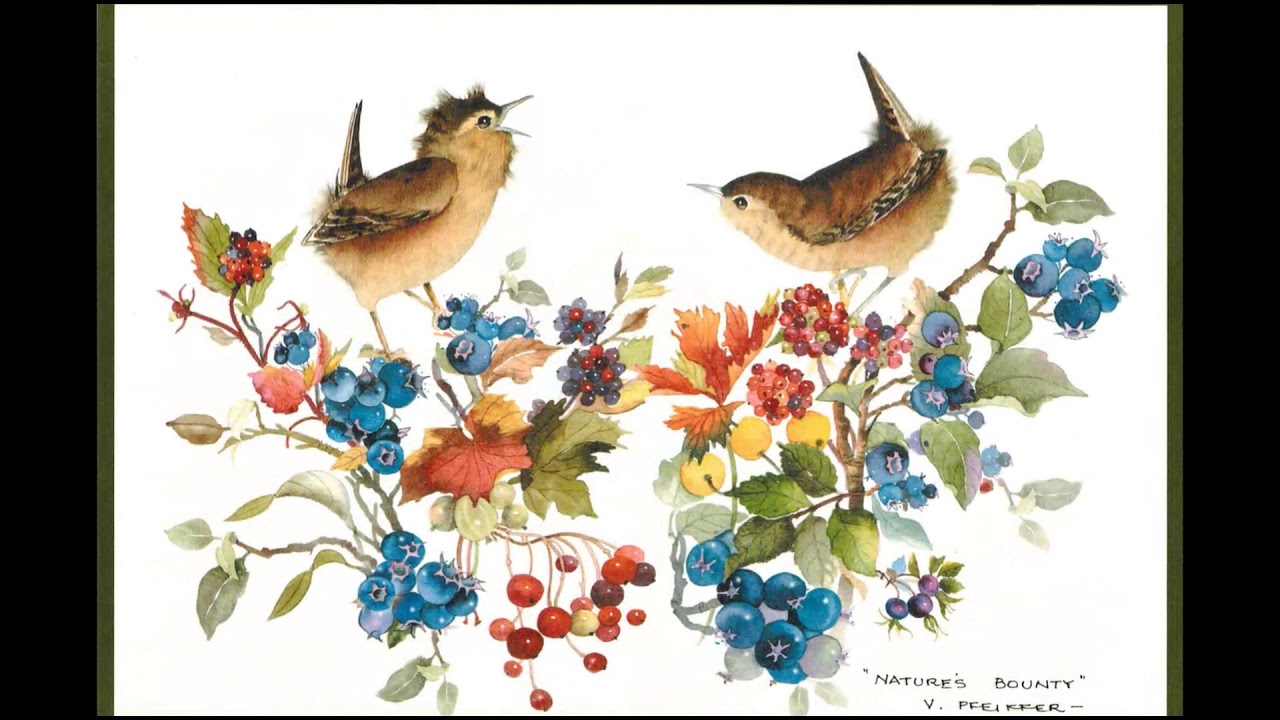 Pfeiffer cards - YouTube