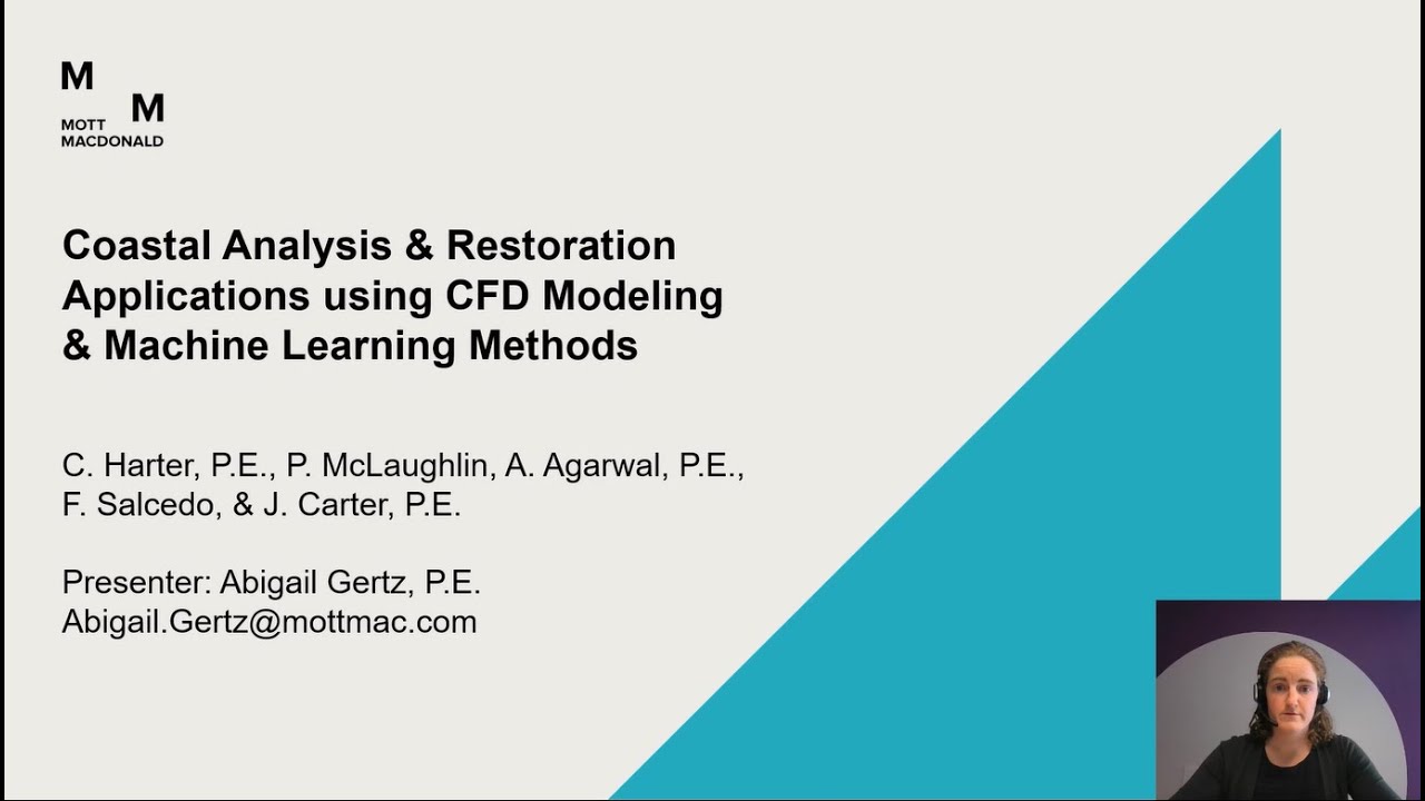 COASTAL ANALYSIS AND RESTORATION APPLICATIONS USING CFD MODELING AND ...