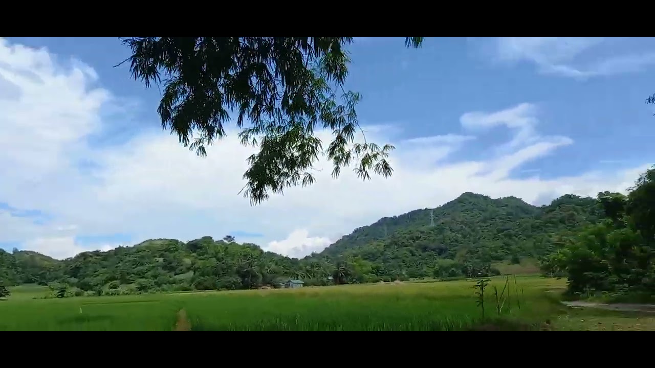 RICE FARM/SAKAHAN/PALAYAN #personalvlog #travelvlog #trending #shorts ...