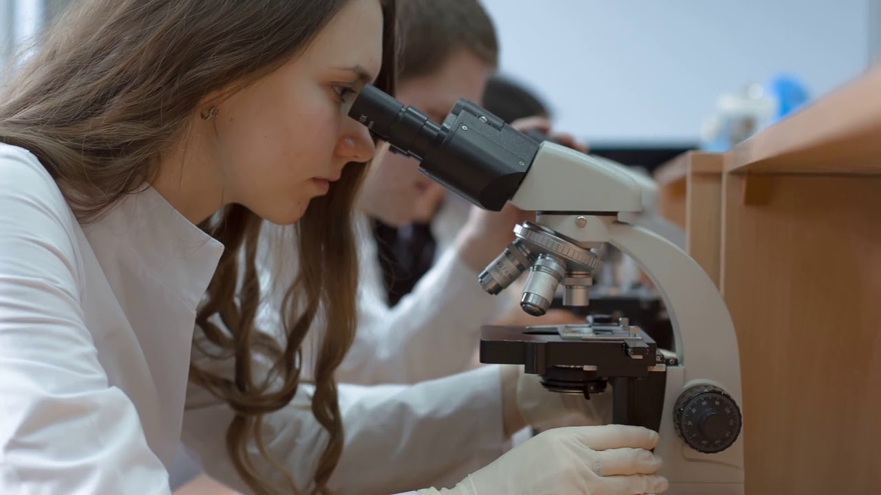 Kimber Academy Introduction - YouTube