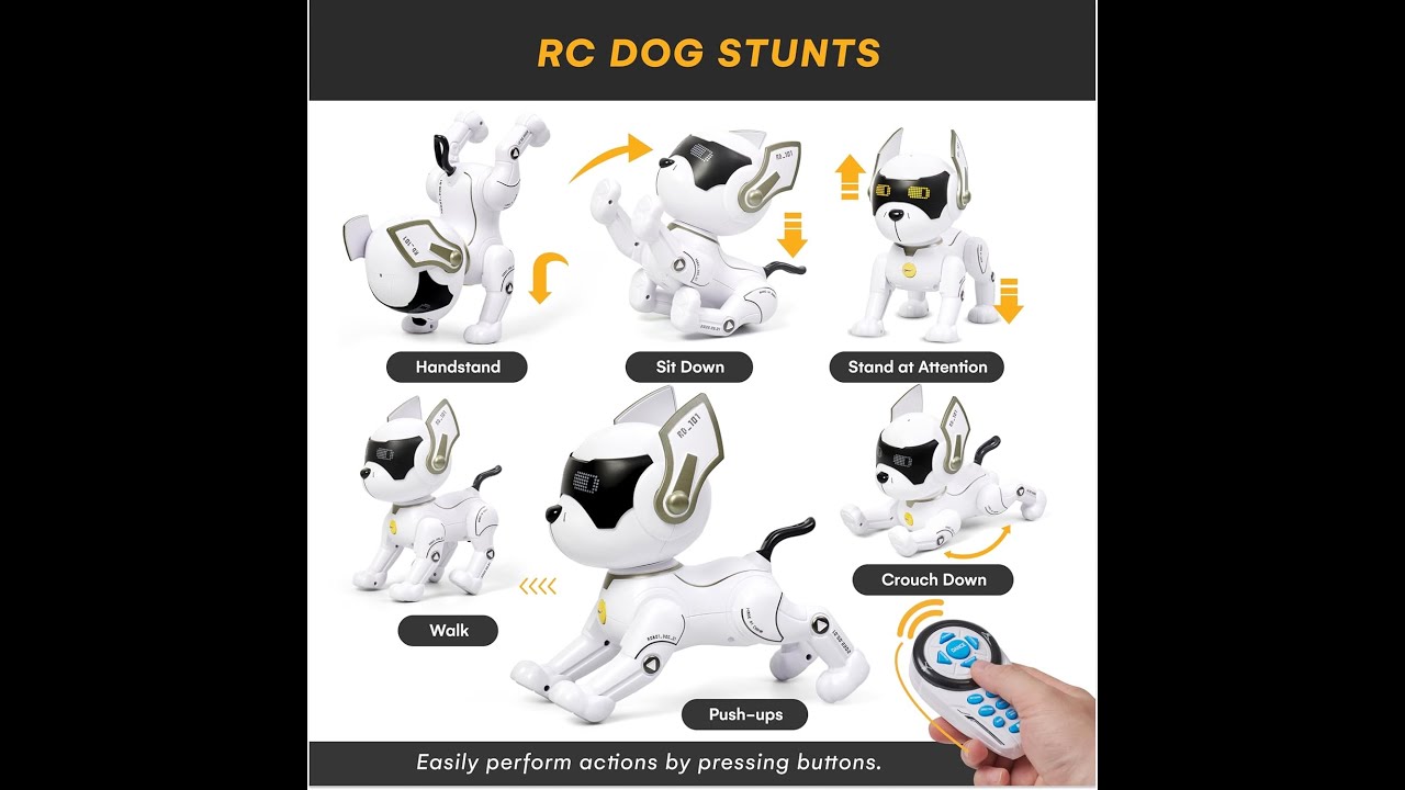 Top Race Robot Dog Review & Demo 2025 - YouTube