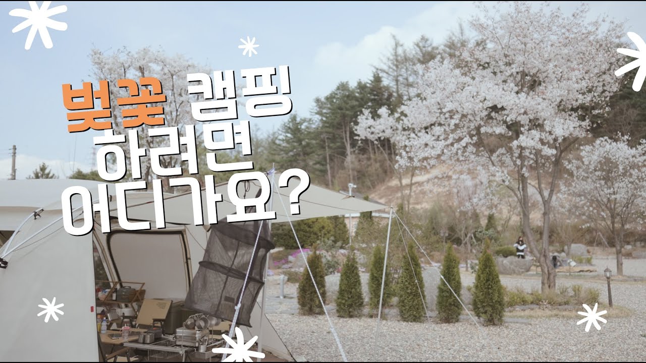 캠핑 브이로그 벚꽃 캠핑 하려면 여기 가세요 넓은 사이트 휘날리는 벗꽃 강자갈 사이트 깨끗하고 정원같은 Youtube