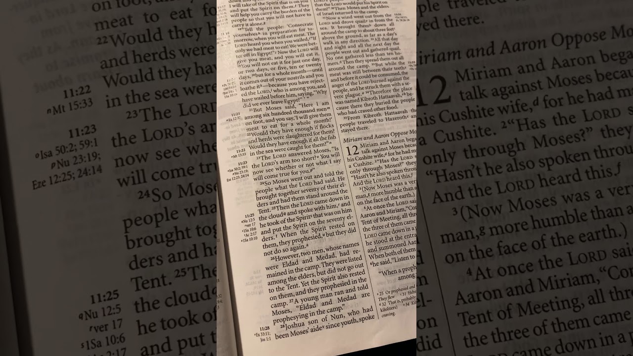 Numbers 11 - YouTube