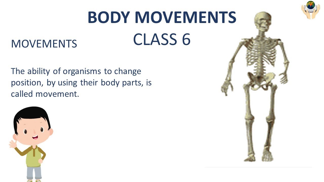Body Movements | Class 6|CBSE|ICSE. - YouTube