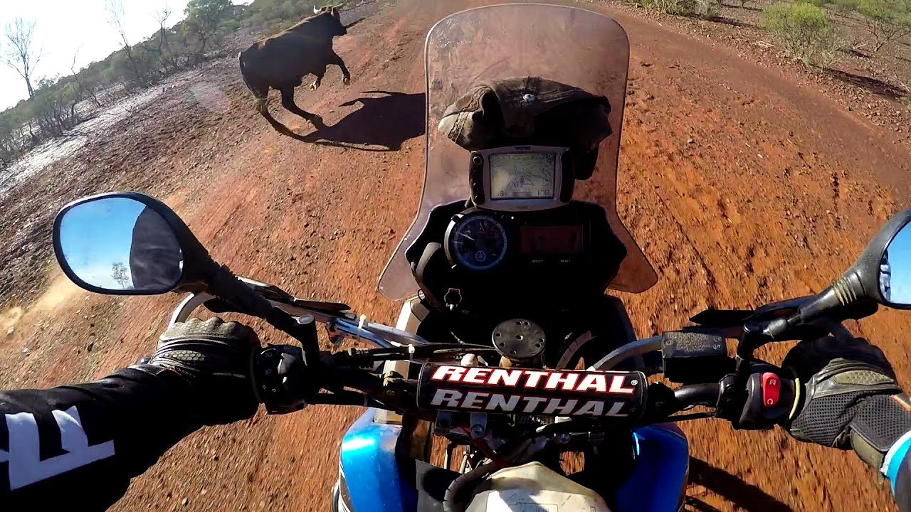 Flies Frogs Bulls Eagles and Dust Adventure Riding in the Pilbara ...