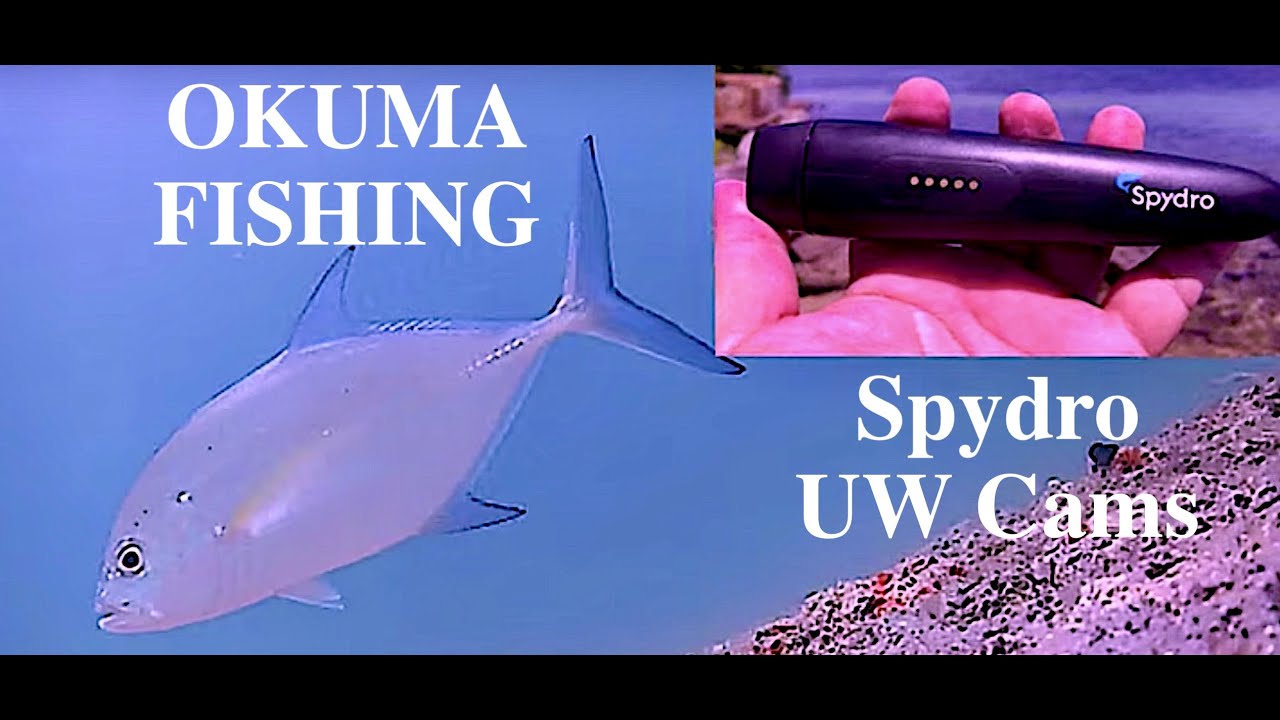 Spydro Underwater Camera on my Dunking Rig! - YouTube