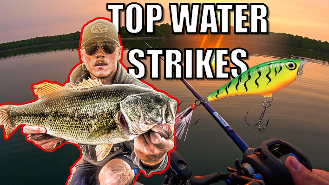 Most INSANE Top Water Bite (BIG BASS WHACKING!!!) - YouTube