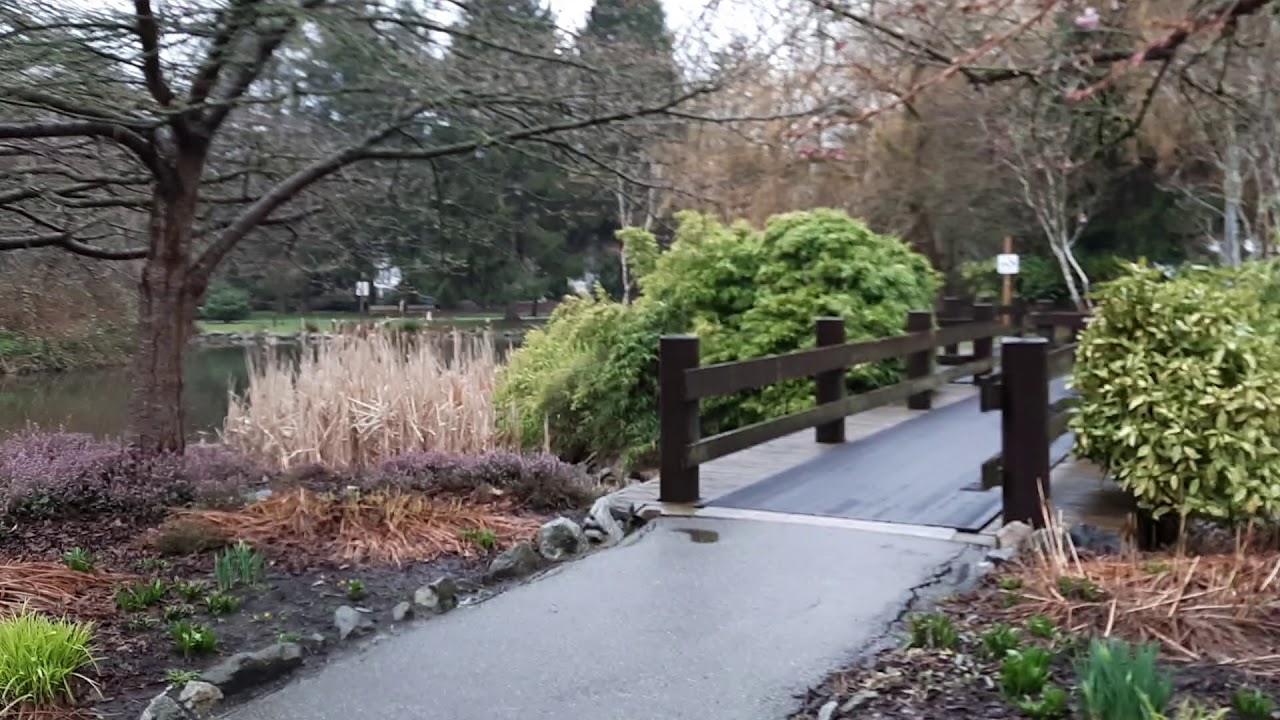 A walk in the beautiful Minoru Park in Richmond BC - Vlog - YouTube