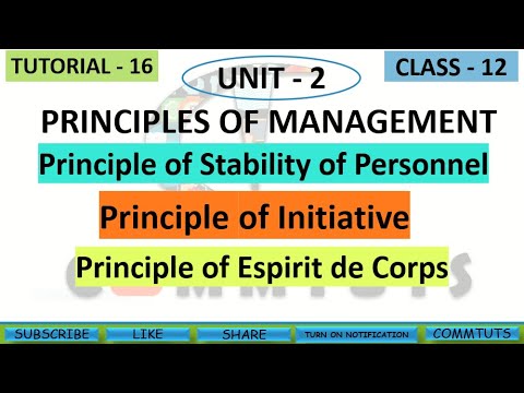 [16] Principle of Stability of Personnel | Initiative | Espirit de ...