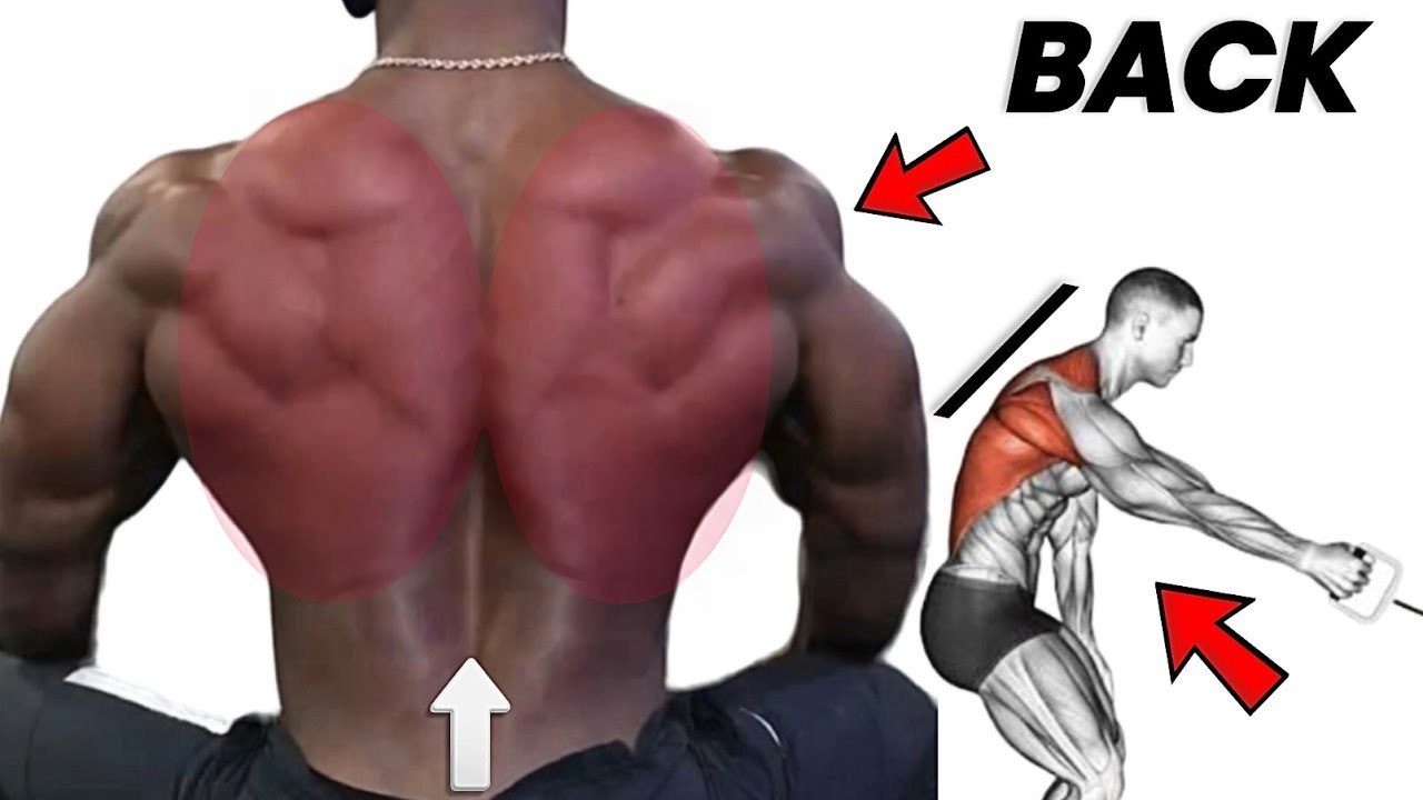 Best Back Exercises To Build Big And Wider Back Muscle | Cobra Back ...