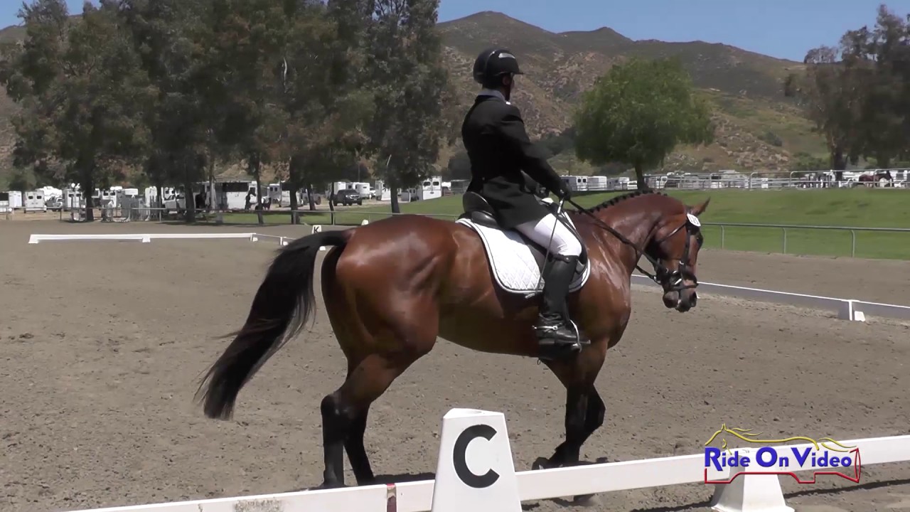 125D Deborah Rosen on Essex Junction Open Novice Dressage Galway Downs ...