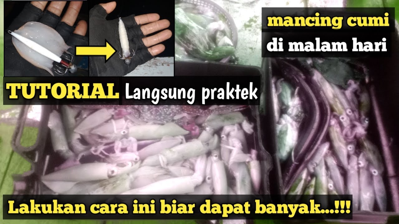 mancing cumi di malam hari wajib lakukan cara ini biar dapat banyak !!! Tutorial mancing cumi ...