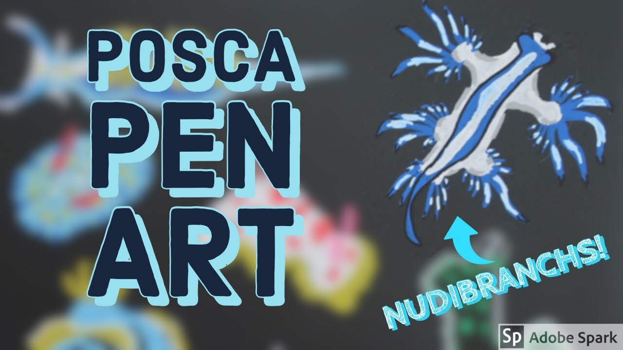 Posca Pen | Painting Tropical Sea Slugs (NUDIBRANCHS) - YouTube