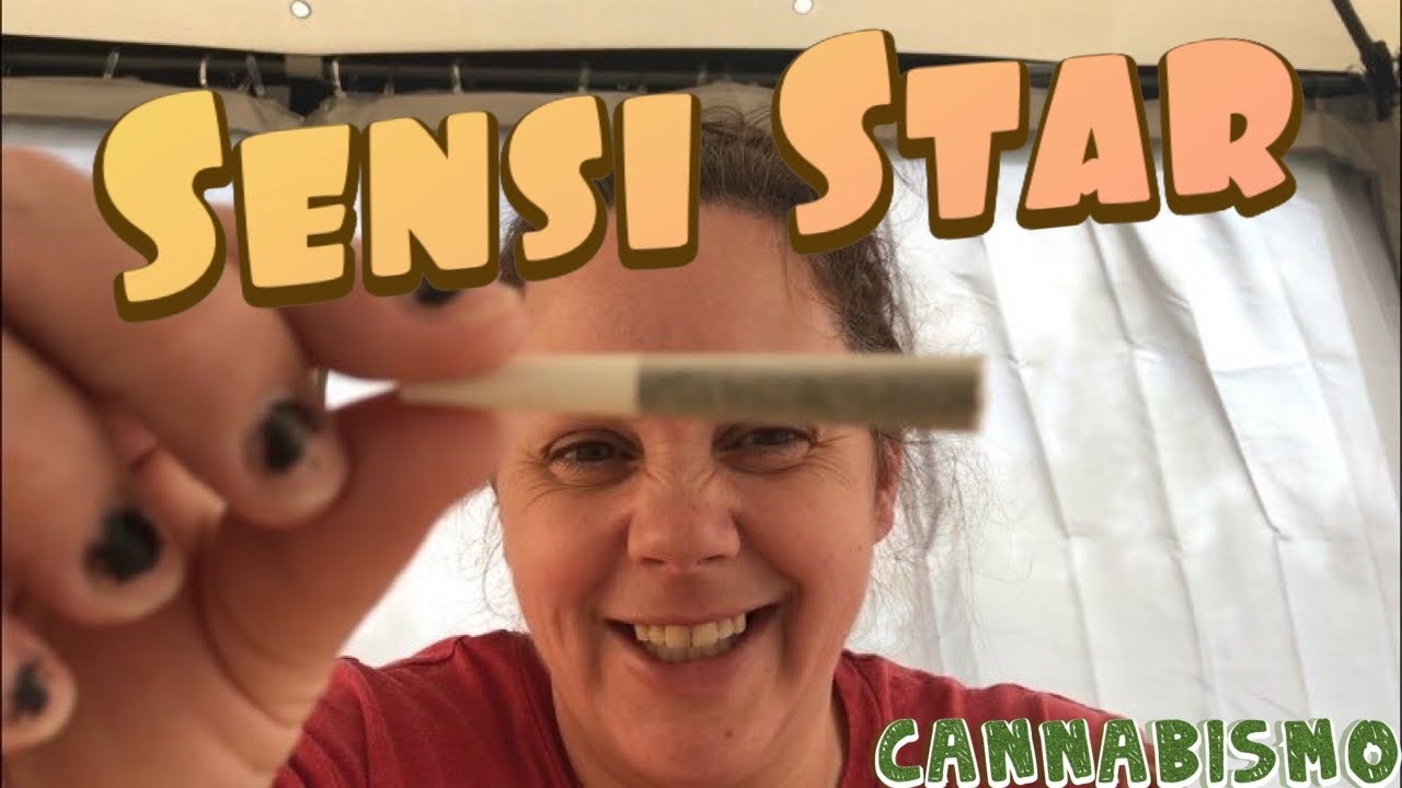 Donna Reviews “Sensi Star”⭐️ (Medical Marijuana) From Cannabismo - YouTube