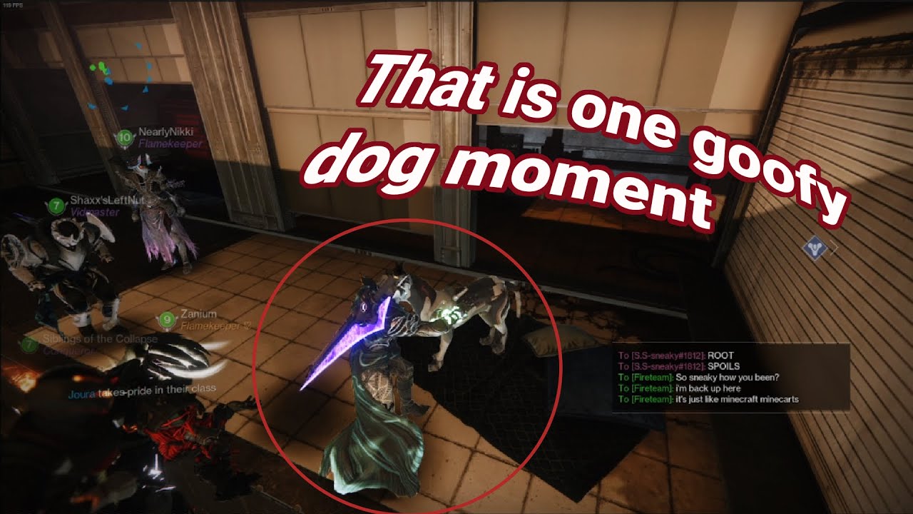 Destiny 2: The Goofiness of Archangel the Exo dog. (Unedited ...