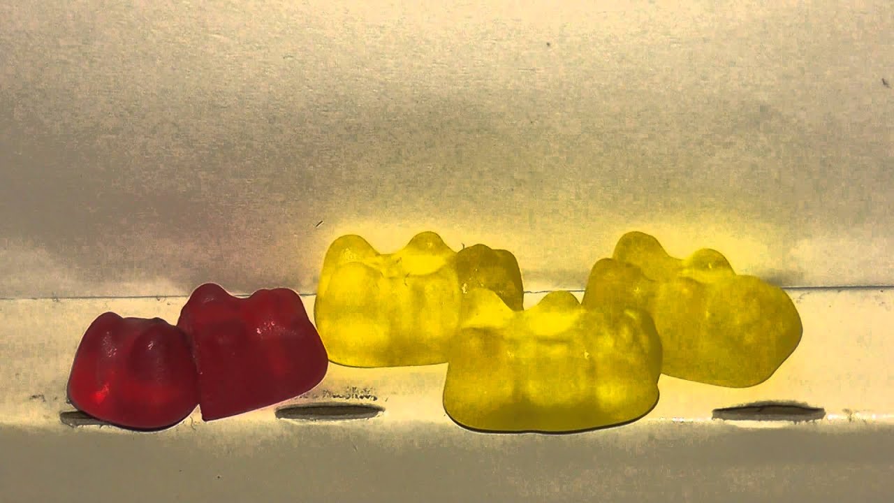 A Gummi Bear Baby Poem - YouTube