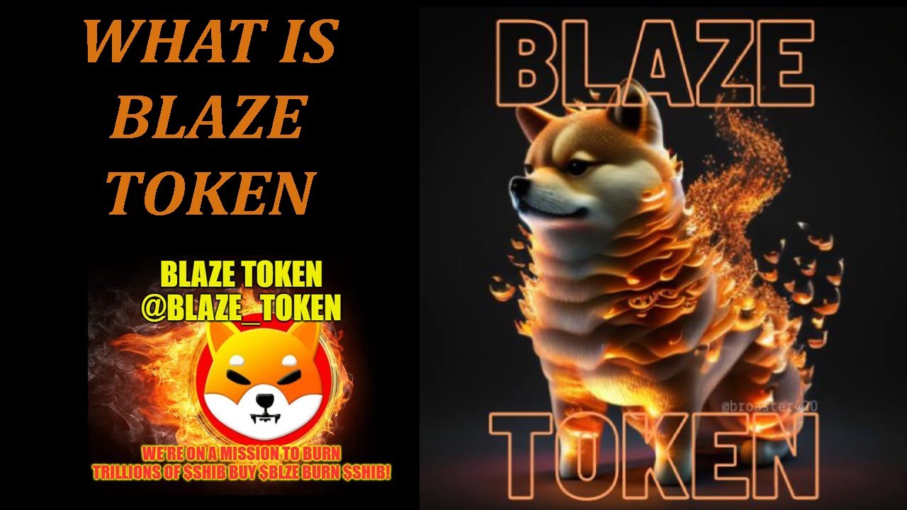 What is Blaze Token #blze #burnshibatoken #shib #shibarmy - YouTube