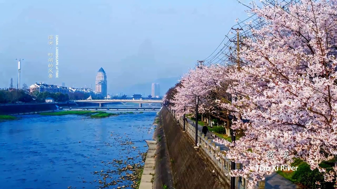 Linan A Charming City, A Forest City - Beautiful Linan City Promotional ...