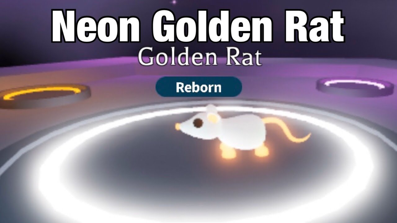 Making Neon Golden Rat Adopt Me! [ROBLOX] - YouTube