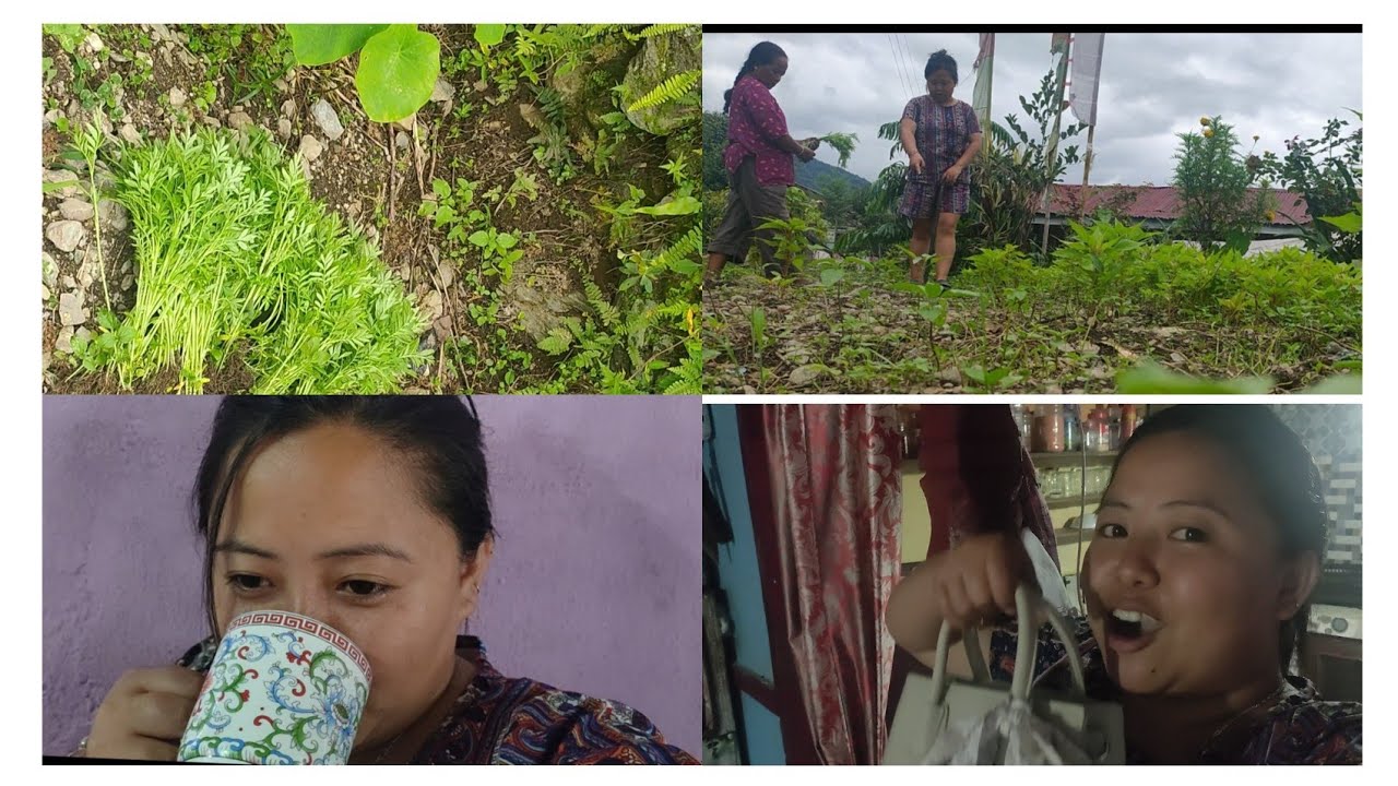 Sayapatri Full(Marigold) Ropako Mumma sanga, Didi lay gift dunu vayo🎁 ...