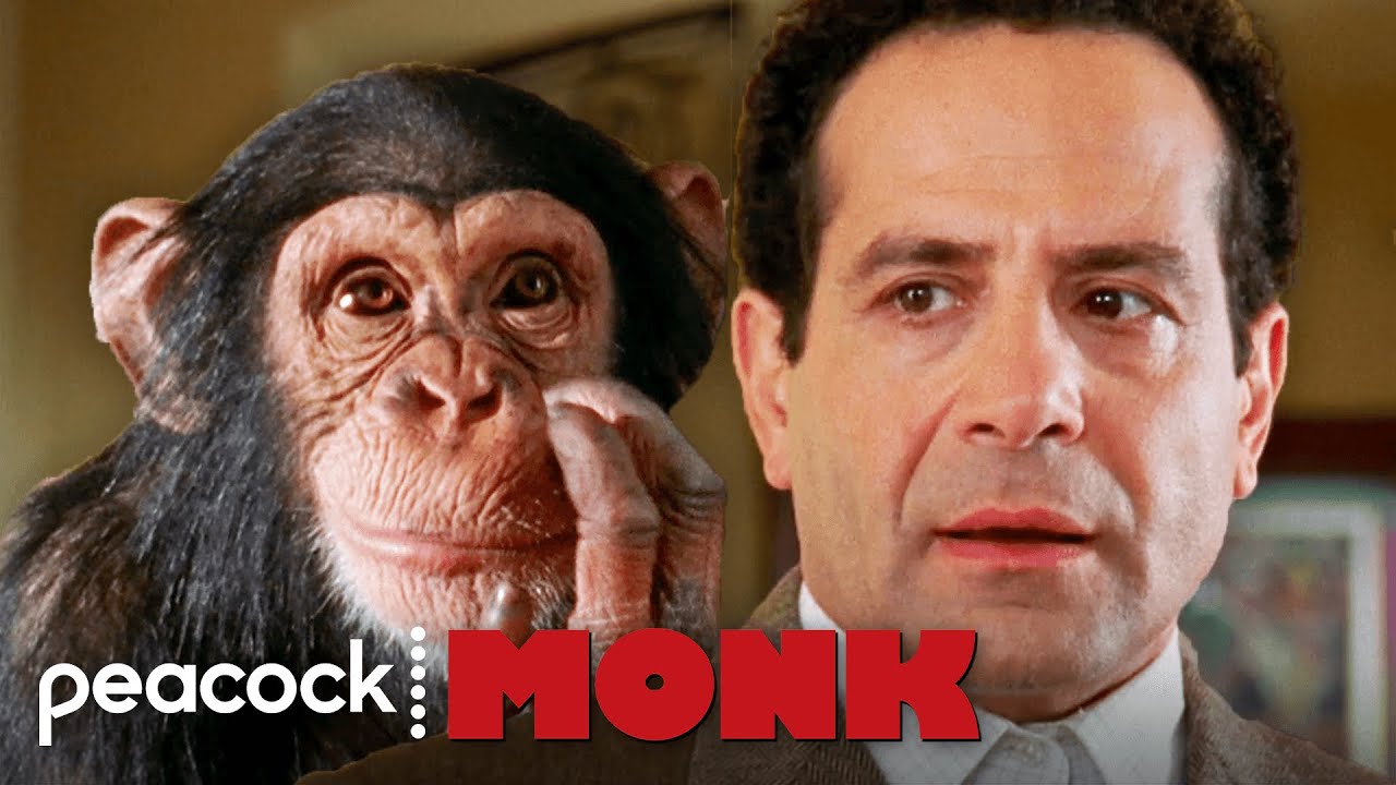 Monk Meets the Killer Chimp | Monk - YouTube