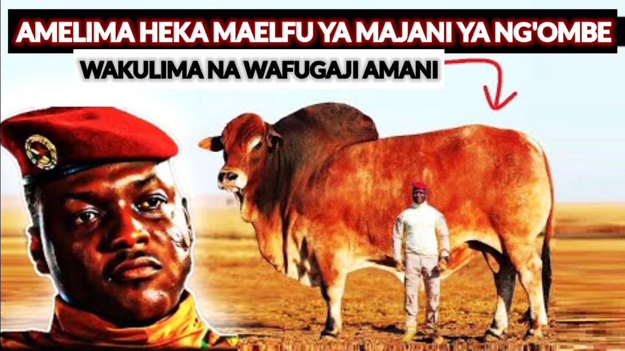 MWAMBA AMEFUTILIA MBALI MIGOGORO YA WAKULIMA NA WAFUGAJI MILELE - YouTube