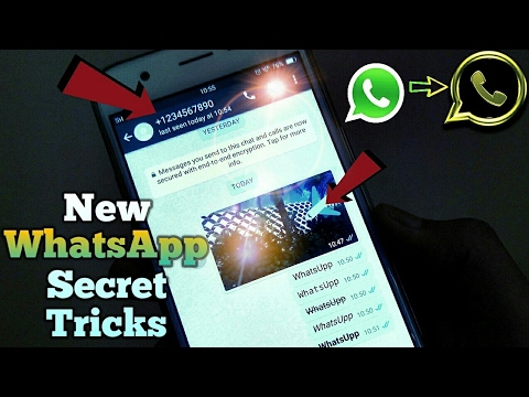 2017!!  7 Amazing whatsapp tricks _Be  professional