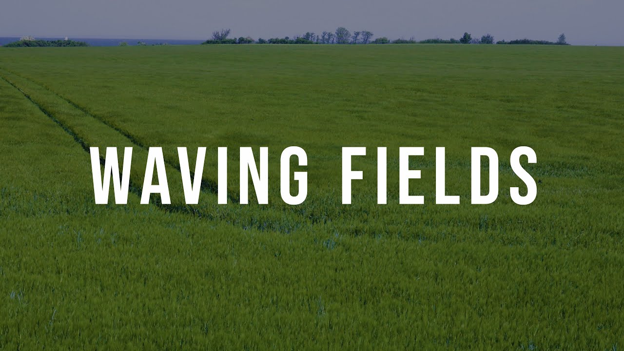 #8 | WAVING FIELDS | ASMR - YouTube