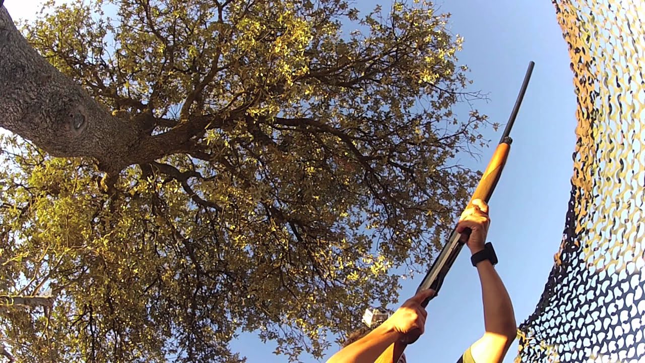 Cazando Palomas Torcaces.mov - YouTube