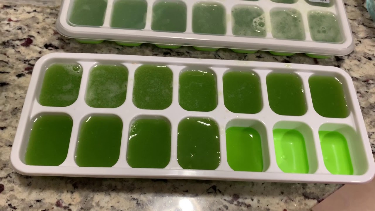 Juicing Cucumbers to Make Cucumber Ice Cubes | Cucumber Water Recipe ...