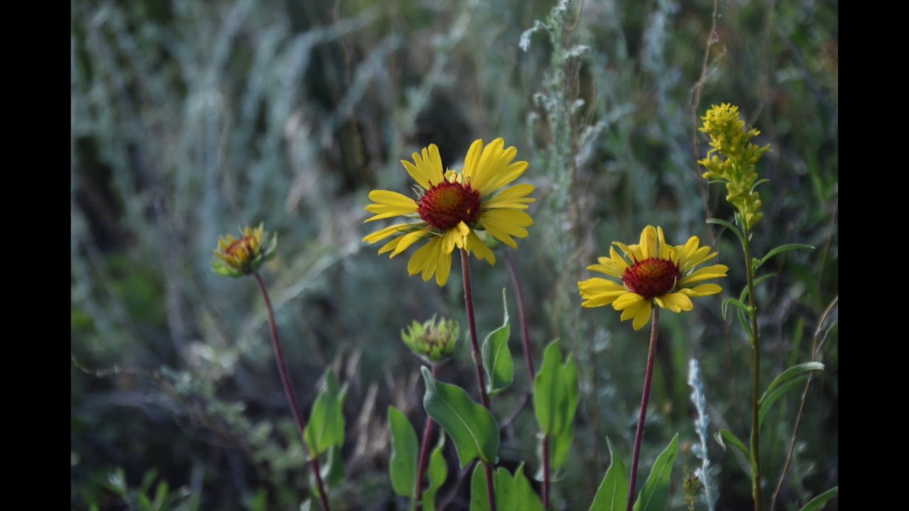 Never Alone - Original Song by Isaac Crane - YouTube