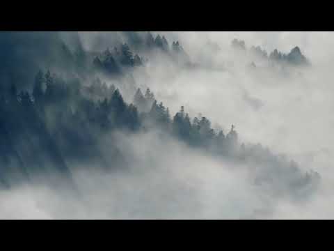 Sisli Orman Manzarası Sesi | Huzur Veren Sesler