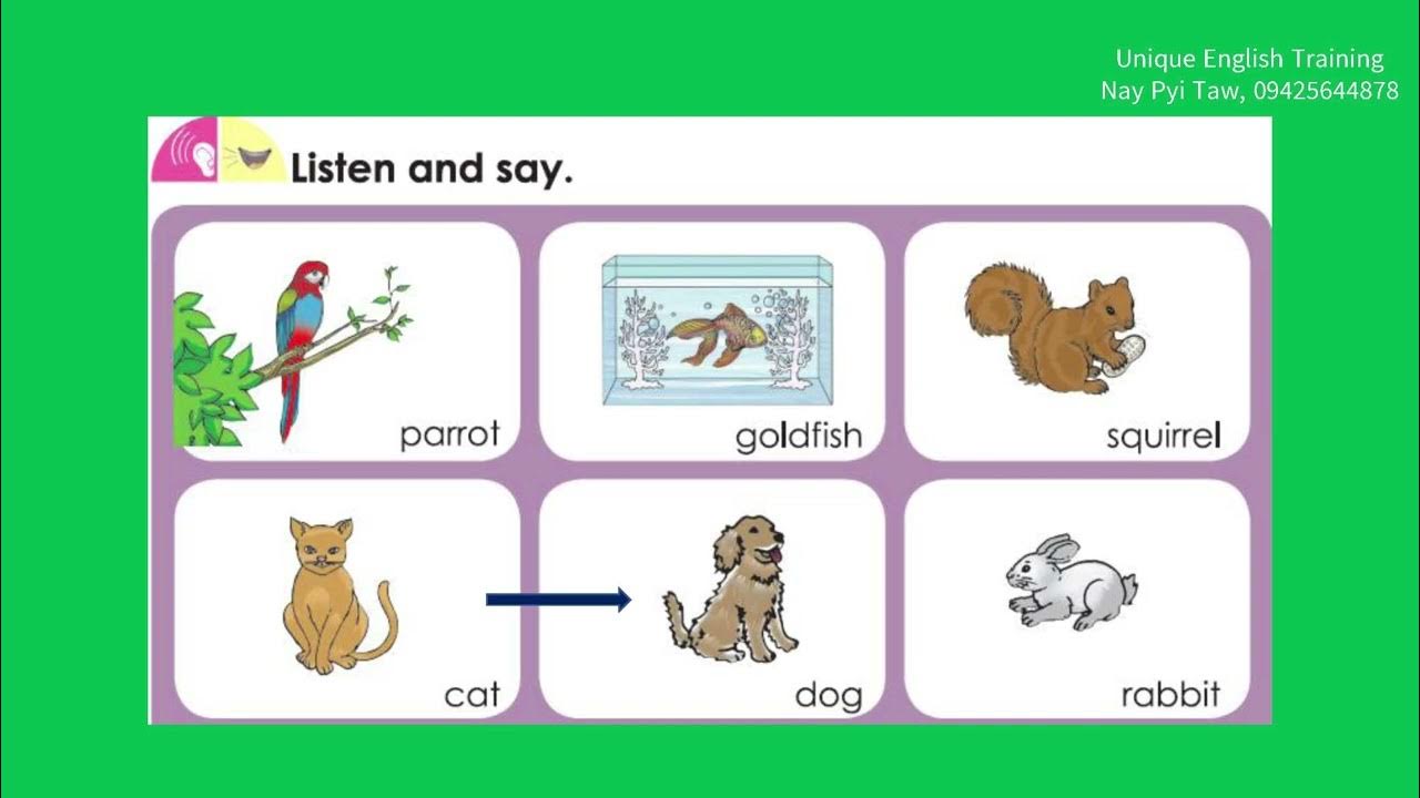 Grade 3 English အင်္ဂလိပ်စာ သင်ရိုးသစ် Unit 3 Lesson 3 နားထောင်၍လိုက်ပြောပါ Youtube