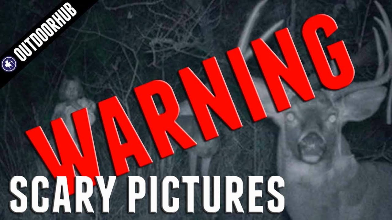 Top 13 Spooky Trail Cam Pictures - YouTube