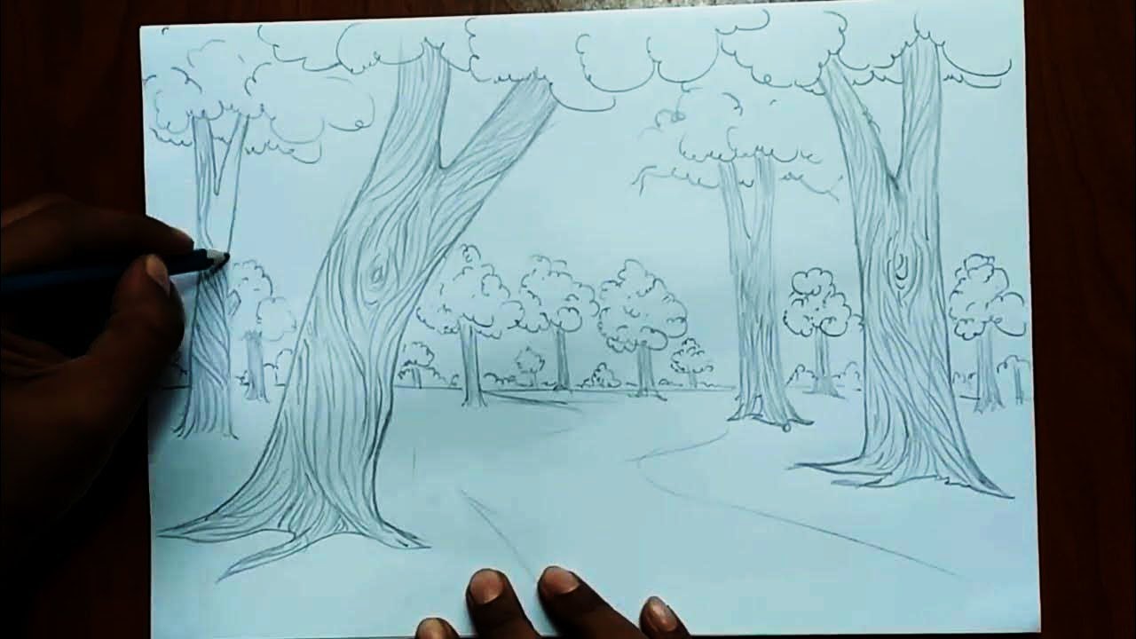 How to Draw Forest Scenery Step by Step | Forest Scenery Step by Step ...