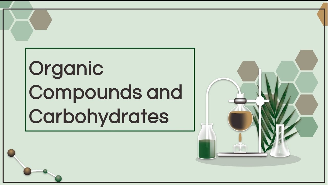 Organic Compounds & Carbohydrates | Edexcel A Level Biology - YouTube