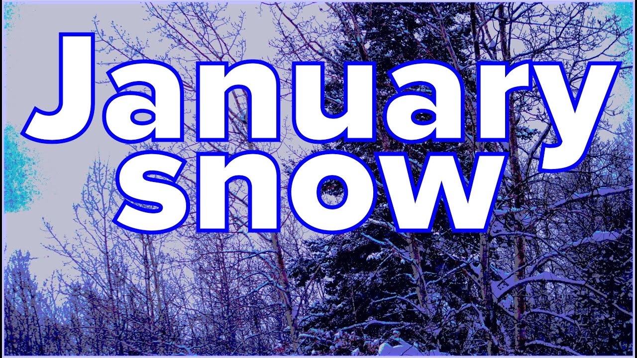January Snow - British Columbia, Canada - YouTube