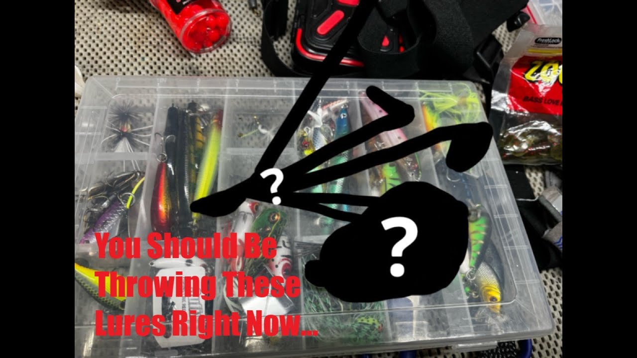 Bass Fishing Lures For January! (These Two Lures Will Catch You Fish ...