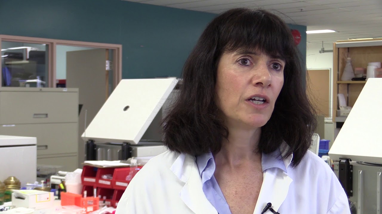 New resource for kidney transplant patients - YouTube