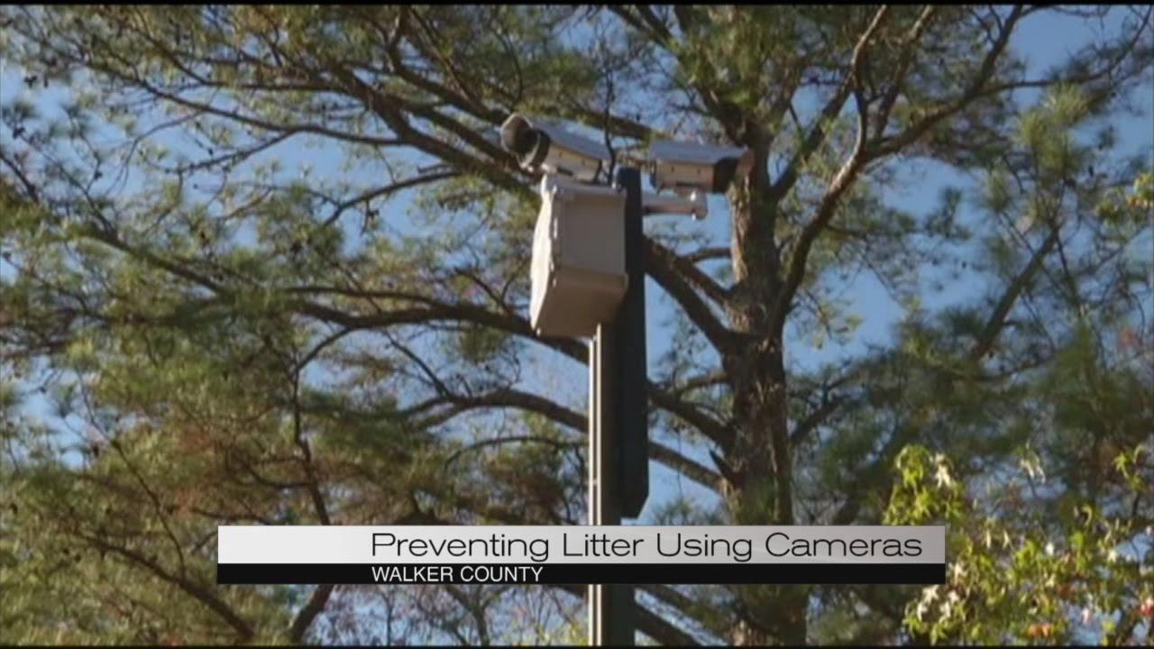 Litter Cameras - YouTube