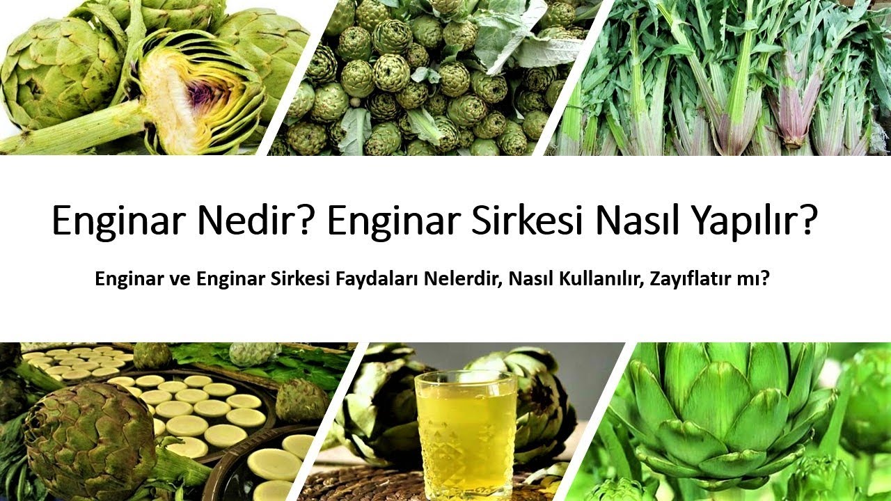 Karaciğer Dostu Enginar Nedir ve Enginar Sirkesi Nasıl Kurulur ...