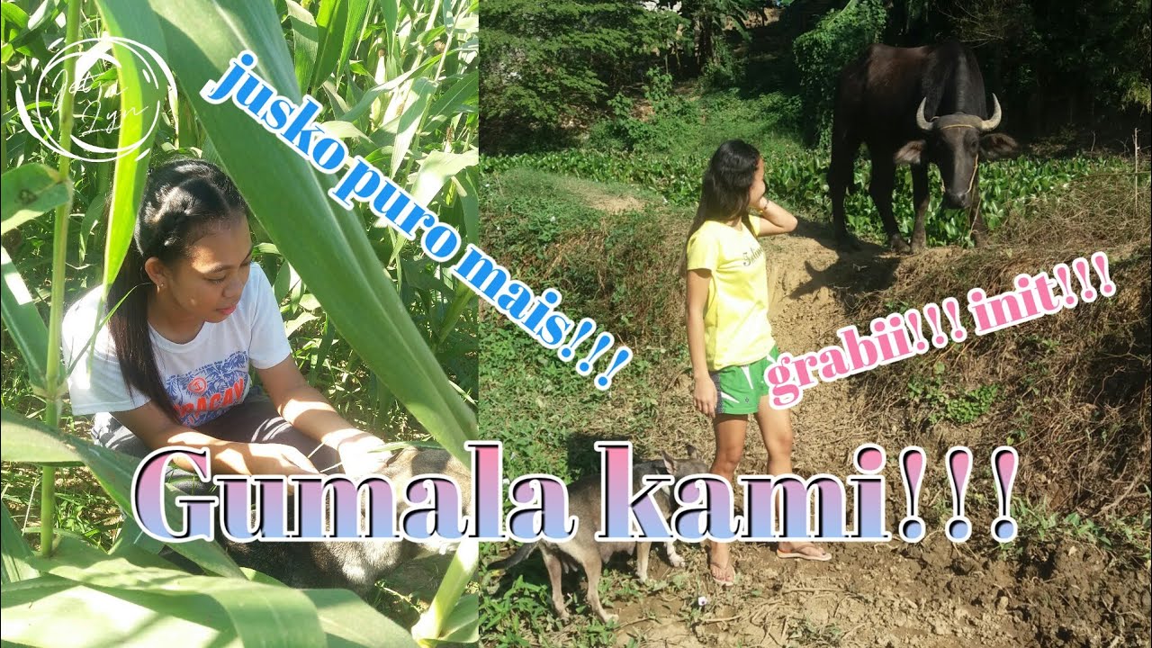 Gala Time! Kadugyutan sa Bukid! - YouTube