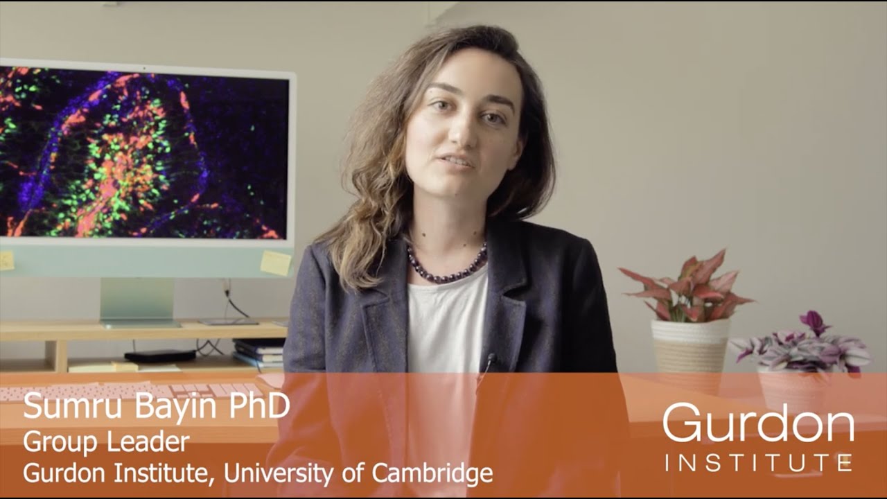 Gurdon Institute | Meet Sumru Bayin - YouTube