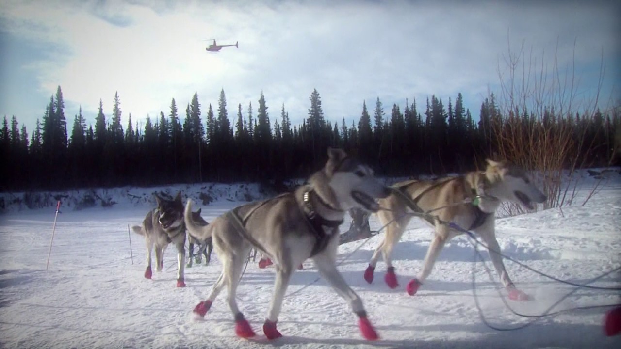 Broken record, broken dreams: An Iditarod story - YouTube