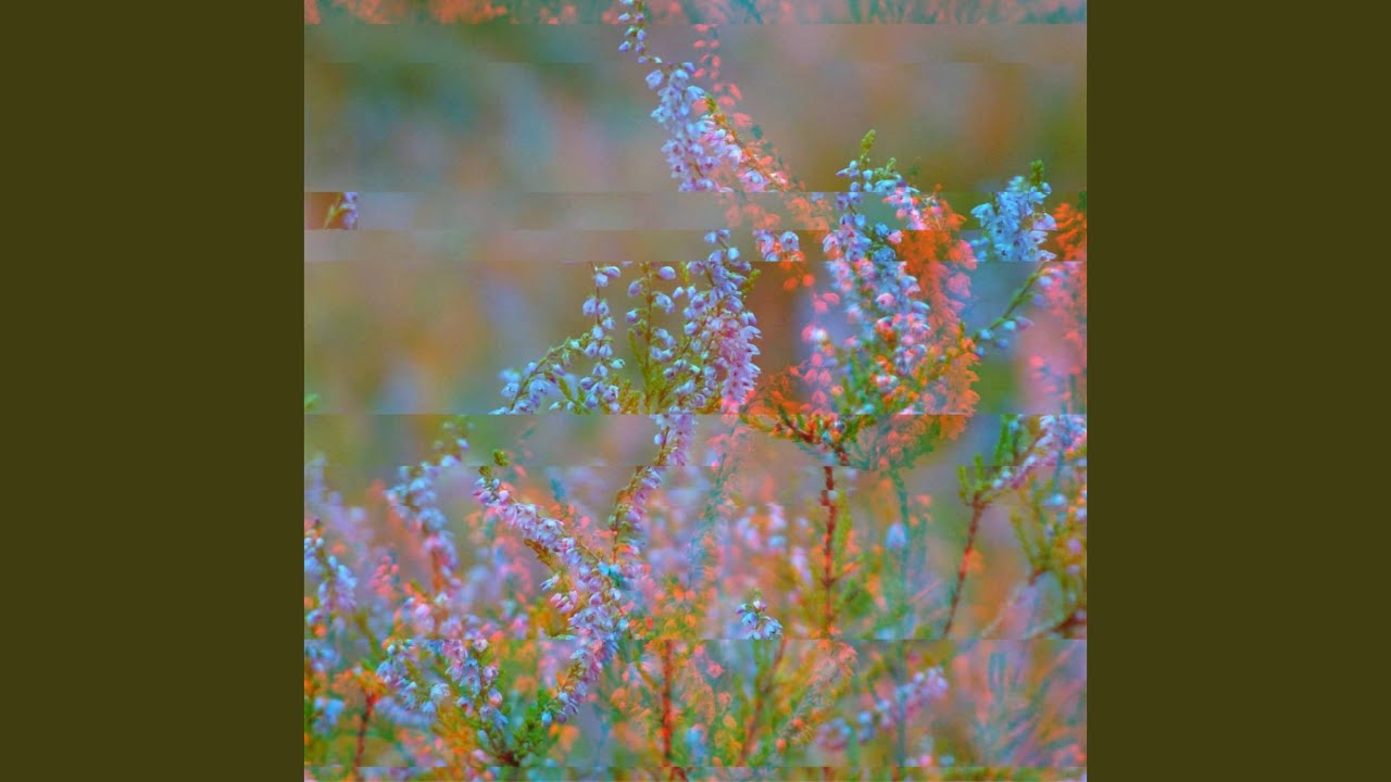 Background for Vibrant Reflections - YouTube