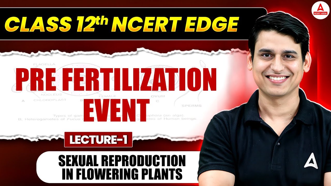 pre-fertilization-events-class-12-biology-sexual-reproduction-in