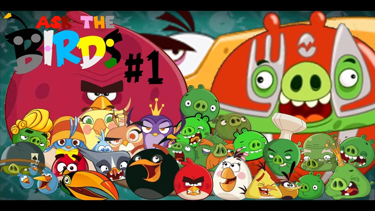 Ask the birds #1 - YouTube