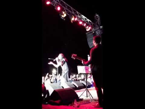 Murat kekilli enginar festivali