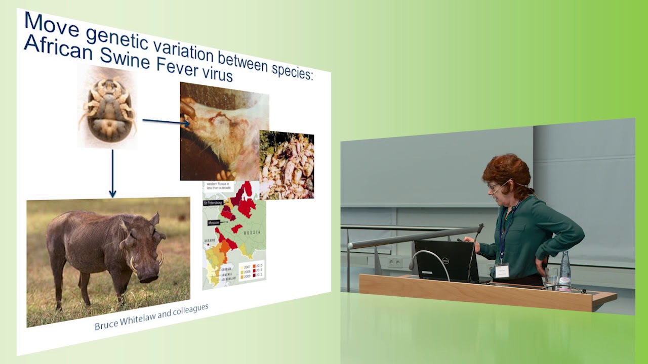 Genome editing in farmed animals: a valuable opportunity? - YouTube